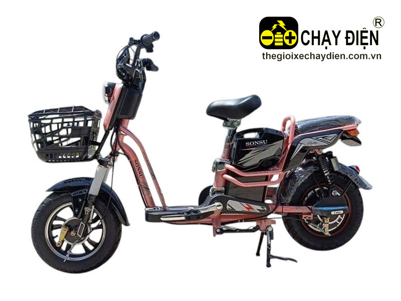Xe đạp điện Sonsu Ruby bánh 300-10